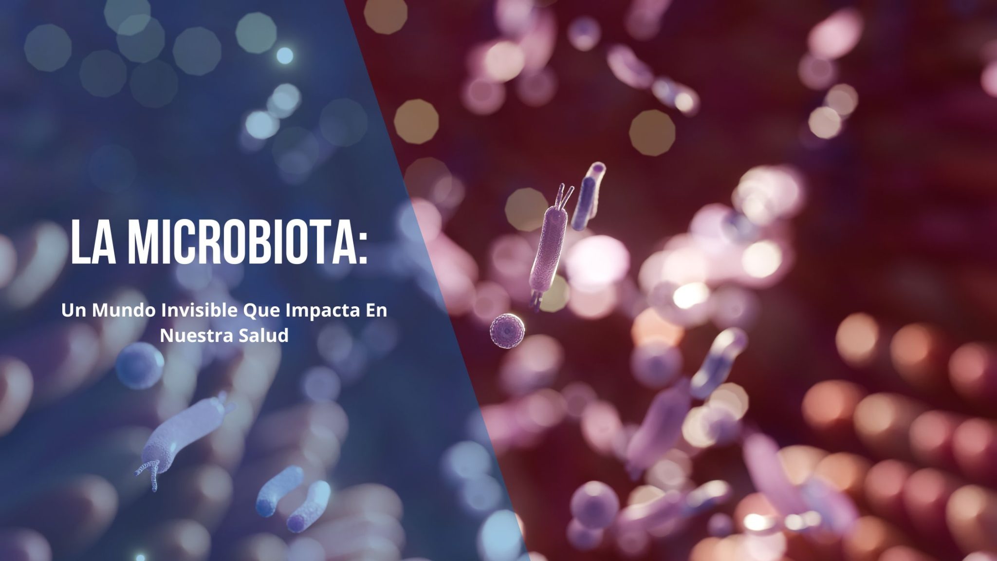 La Microbiota: Un Mundo Maravilloso Que Impacta En Nuestra Salud ...